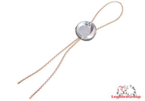 Lead seals, Customs seals - LeghornGroup