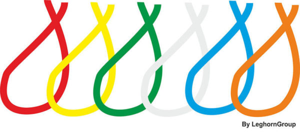 Plastic coated Nylon wire - LeghornGroup